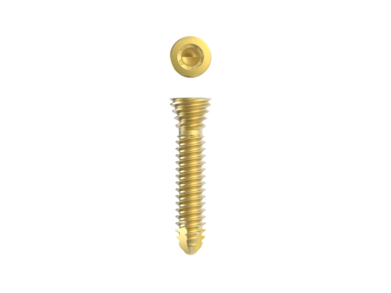 Screw, Ø2.7, Locking, 8mm, Gold - Brasil Medical Vet - Distribuidor ...